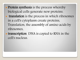 Protein synthesis | PPT
