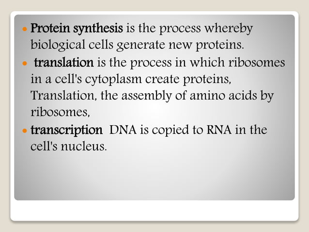 Protein synthesis | PPTX