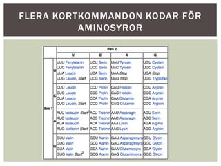 Celler celldelning och proteinsyntes | PPTX