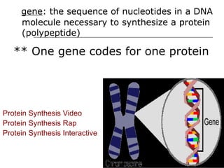 Protein syntheisis 2016 | PPT