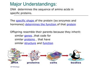 Protein syntheisis 2016 | PPT