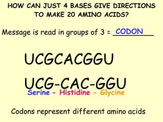 Protein synthesis | PPT