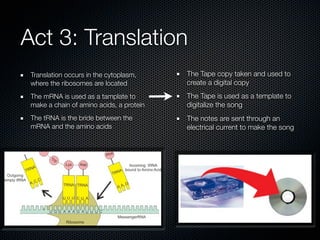 Protein synthesis | PPT