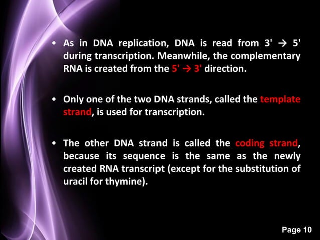 Protein synthesis | PDF | Programming Languages | Computing