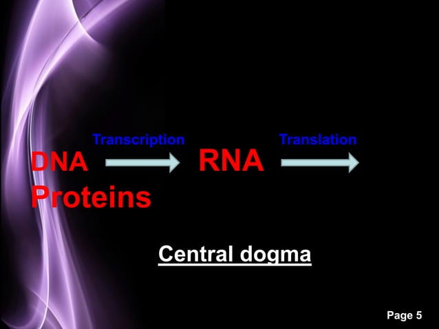 Protein synthesis | PDF | Programming Languages | Computing