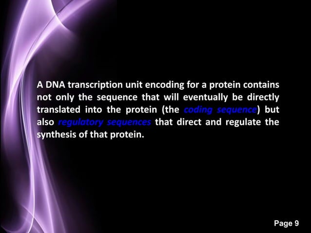 Protein synthesis | PDF | Programming Languages | Computing