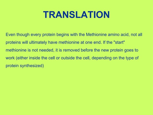 Protein synthesis | PPT | Programming Languages | Computing
