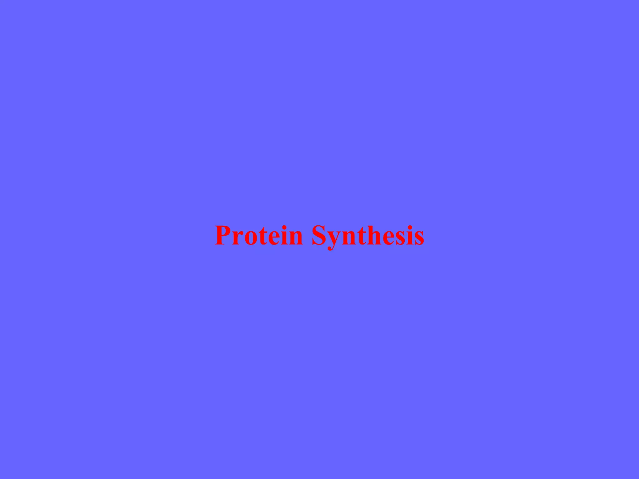 Protein synthesis | PPT
