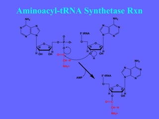 Protein synthesis | PPT