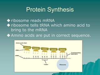 Protein synthesis | PPTX