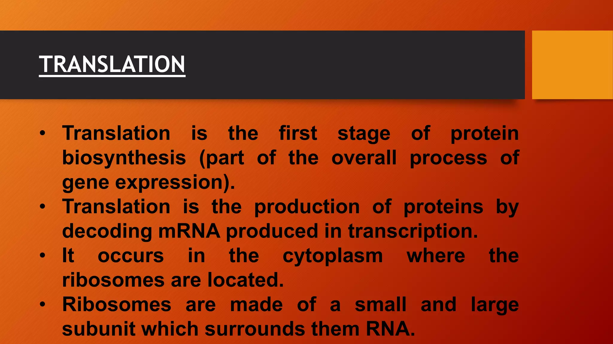Protein Synthesis | PPTX