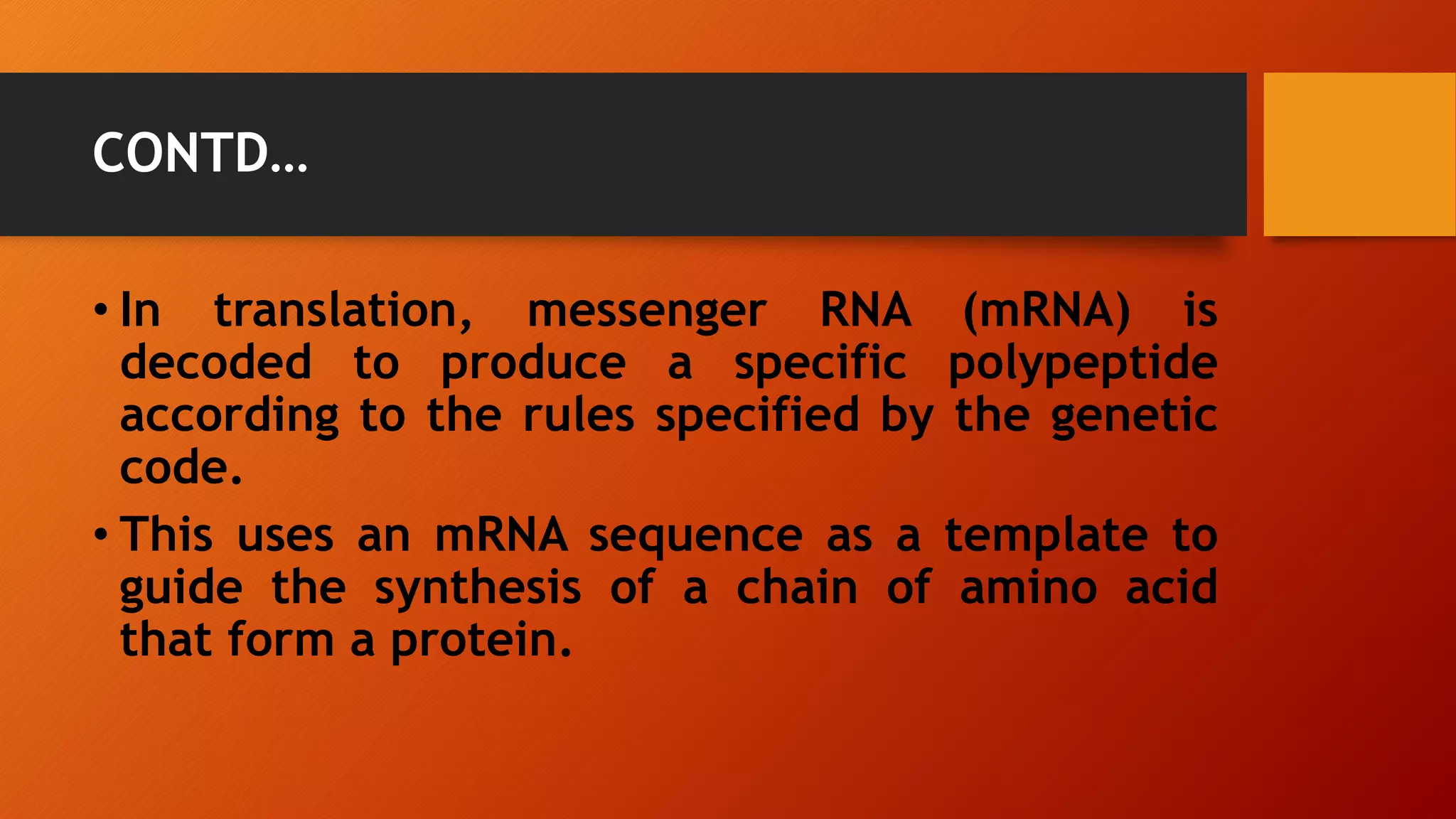 Protein Synthesis | PPTX