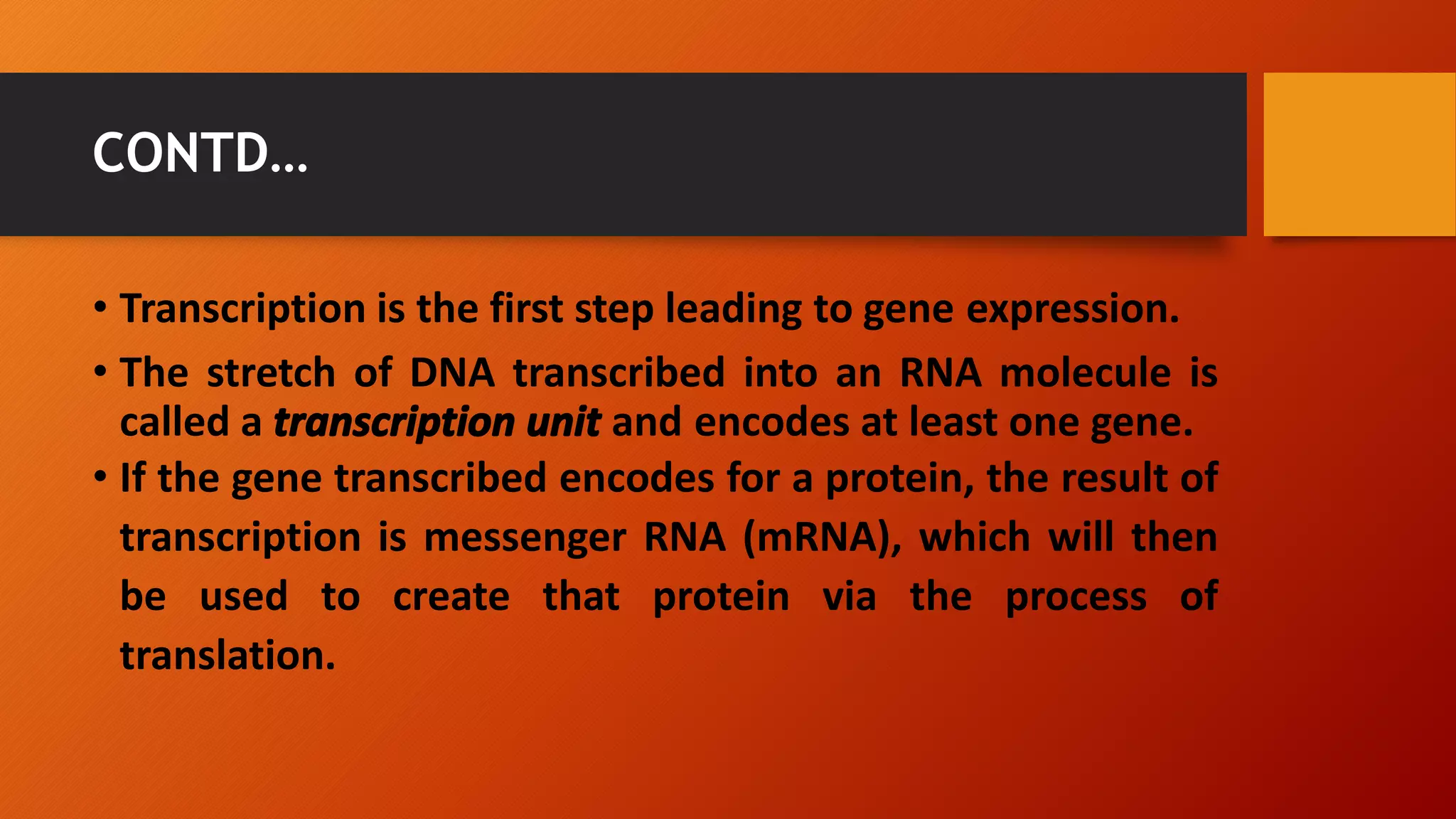 Protein Synthesis | PPTX