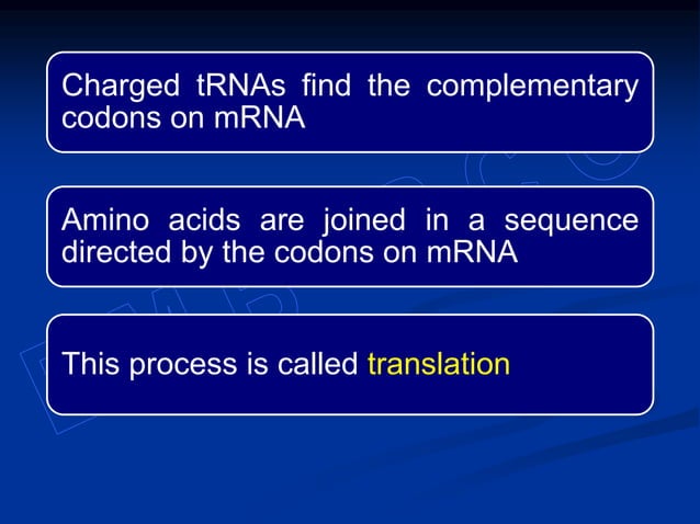 Protein synthesis | PDF | Programming Languages | Computing