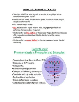 MECHANISM OF PROTEIN SYNTHESIS | PDF