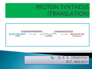 Protein synthesis, translation | PPTX