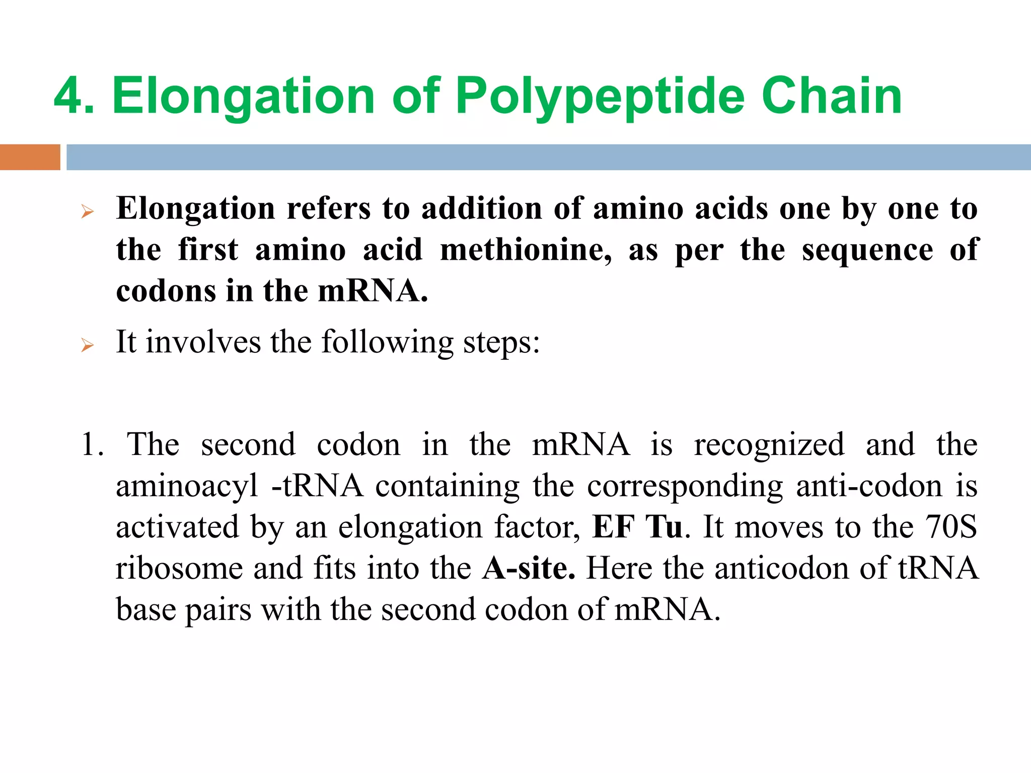 Protein synthesis | PPTX