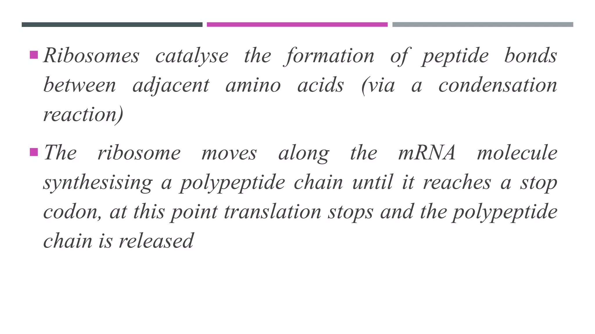 Protein synthesis | PPTX