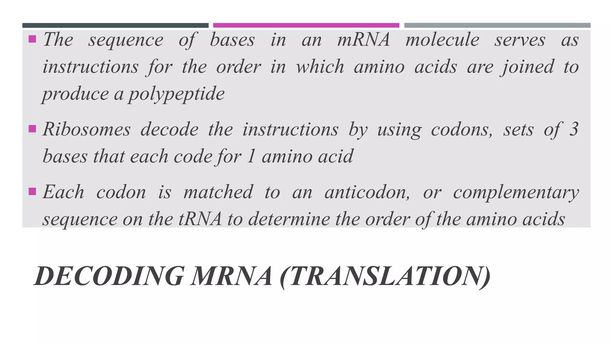 Protein synthesis | PPTX