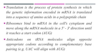 Protein synthesis | PPTX