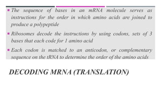 Protein synthesis | PPTX
