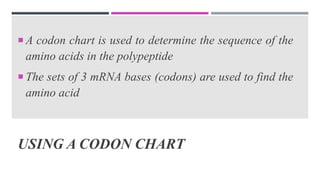 Protein synthesis | PPTX