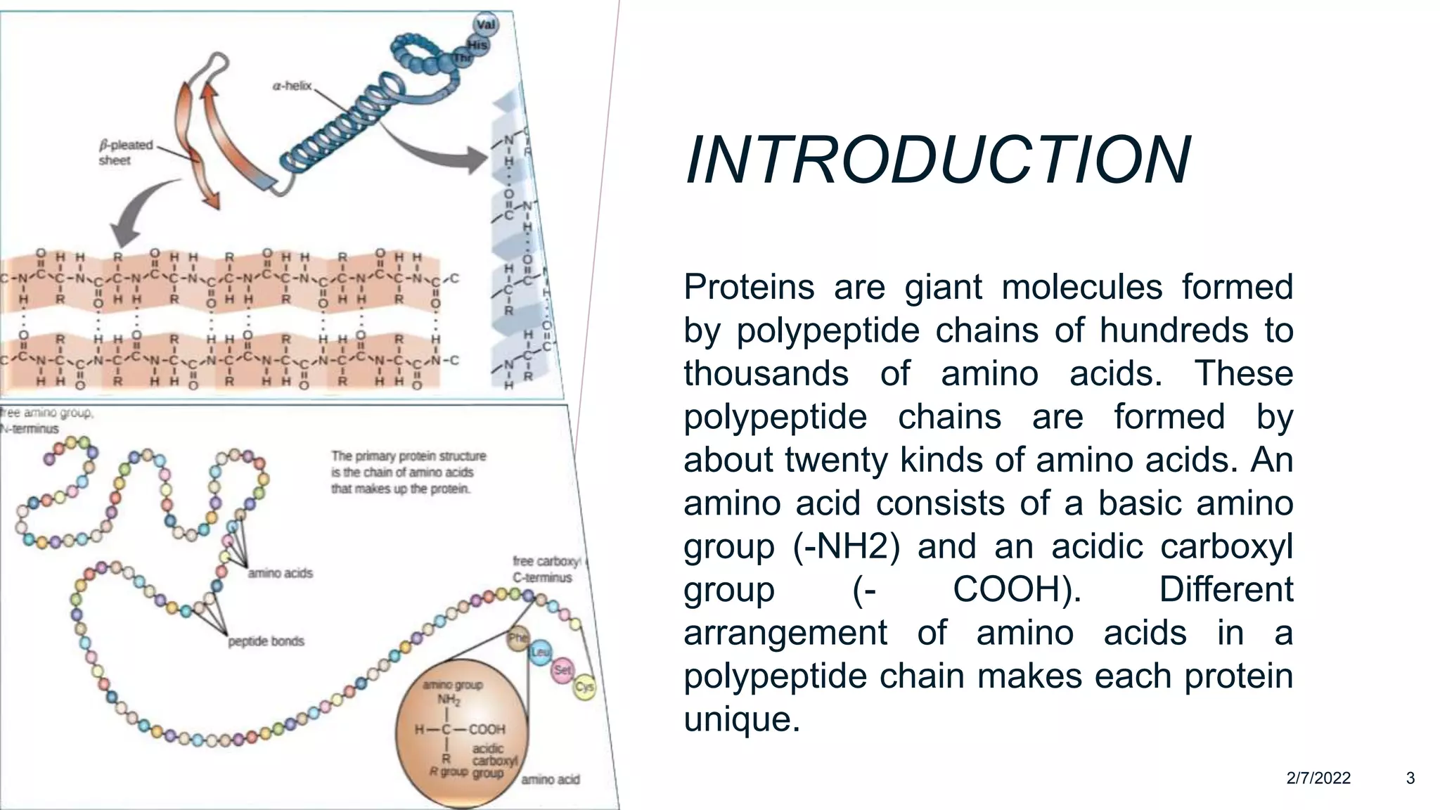 Protein Synthesis.pptx