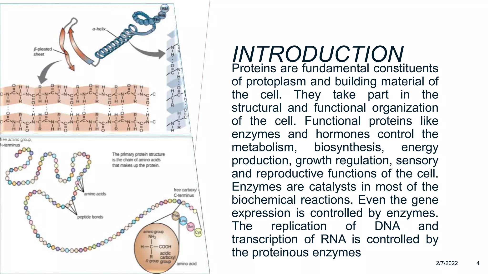 Protein Synthesis.pptx