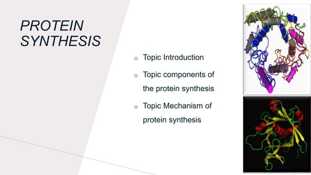 Protein Synthesis.pptx