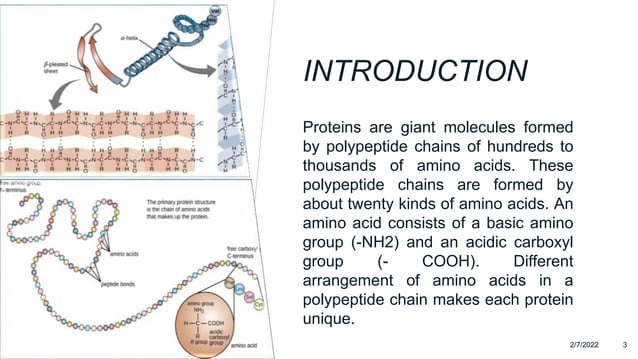 Protein Synthesis.pptx