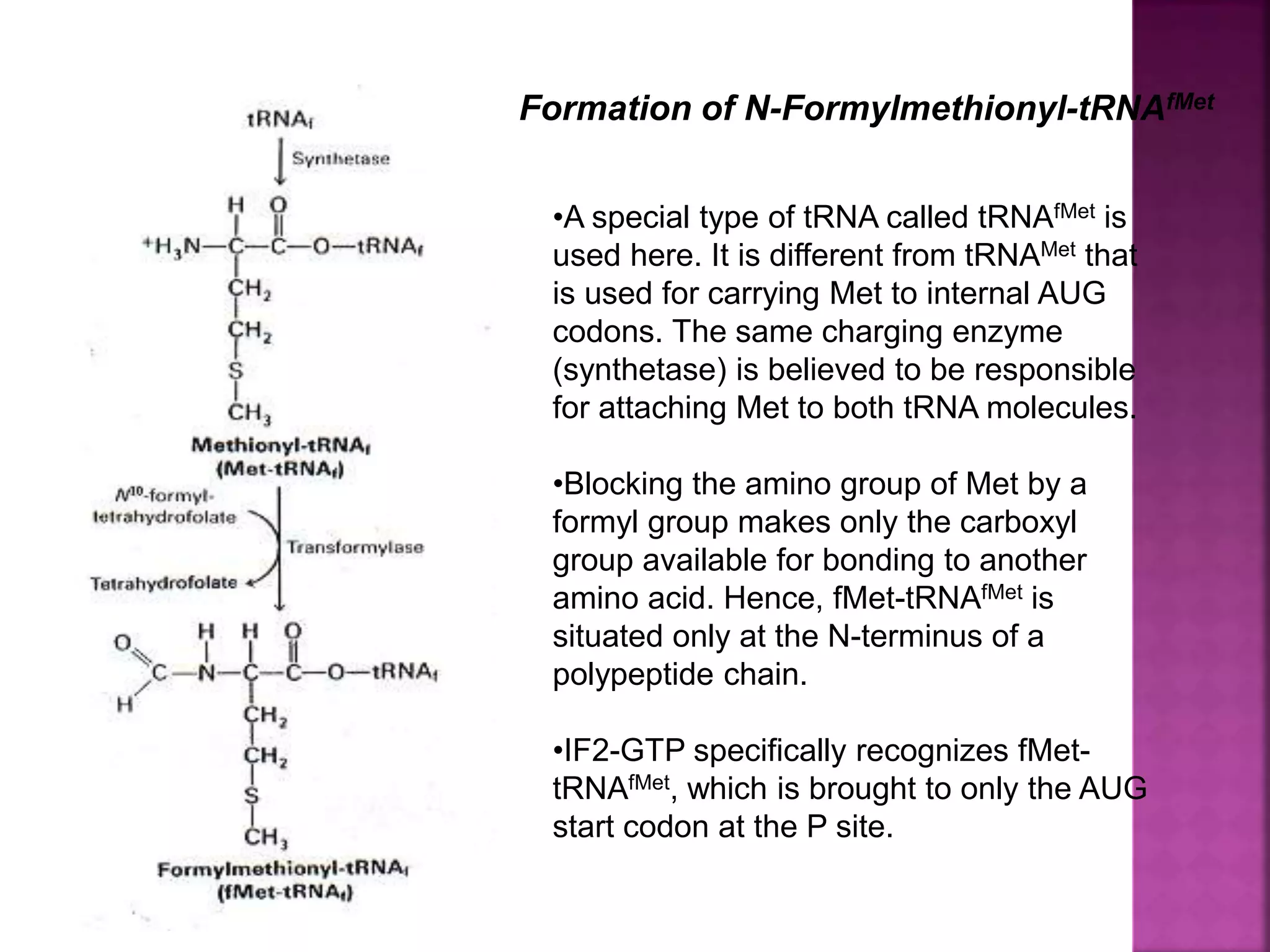 Protein synthesis.ppt