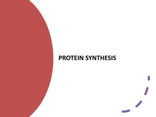 Protein Synthesis.pptx