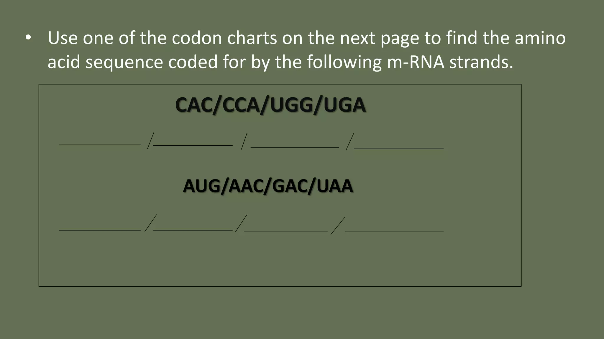 PROTEIN SYNTHESIS. PPT .pptx