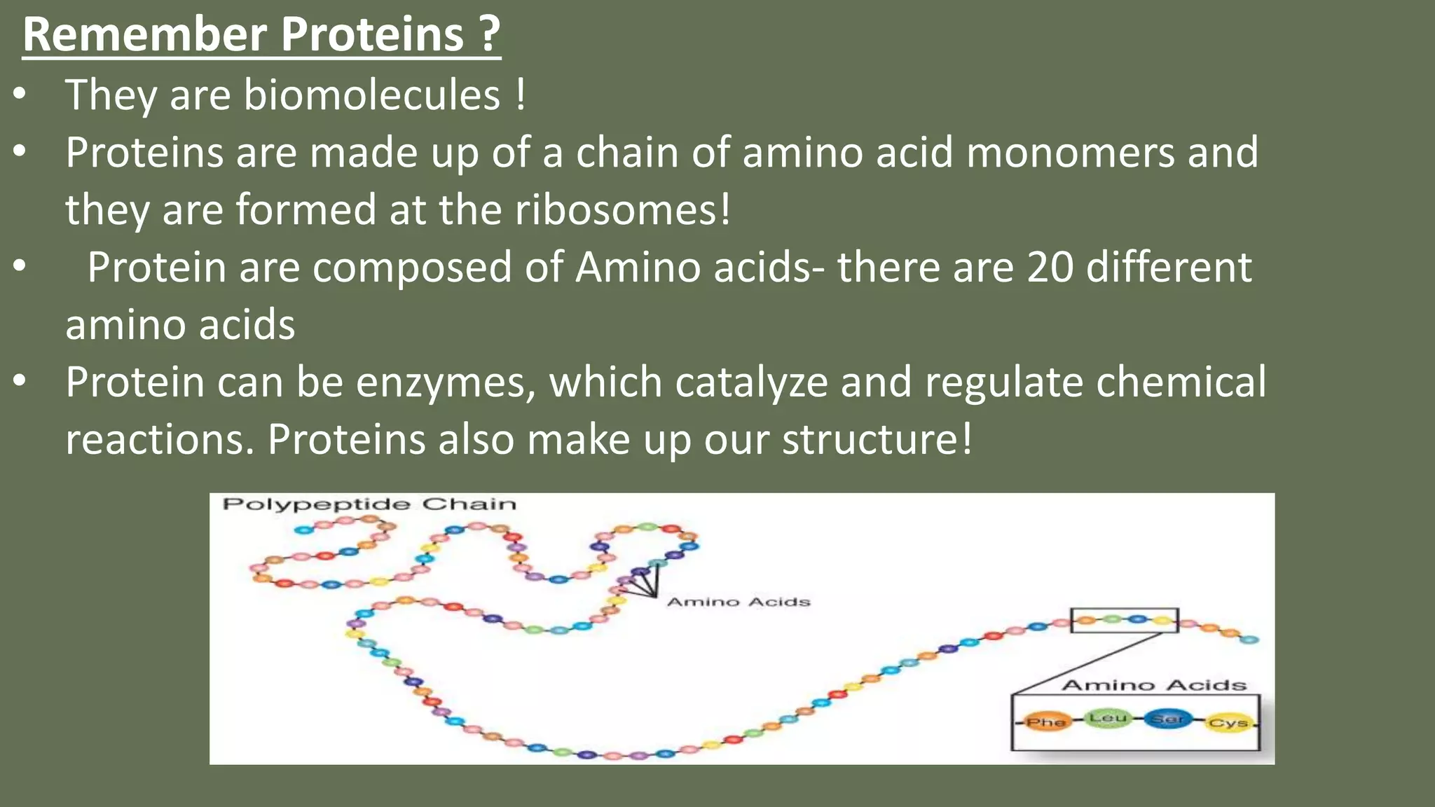 PROTEIN SYNTHESIS. PPT .pptx