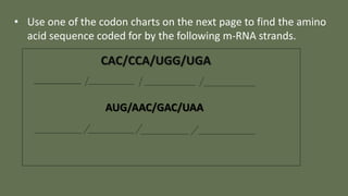 PROTEIN SYNTHESIS. PPT .pptx