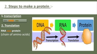 PROTEIN SYNTHESIS. PPT .pptx