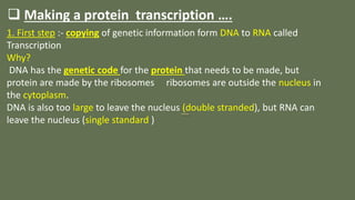 PROTEIN SYNTHESIS. PPT .pptx