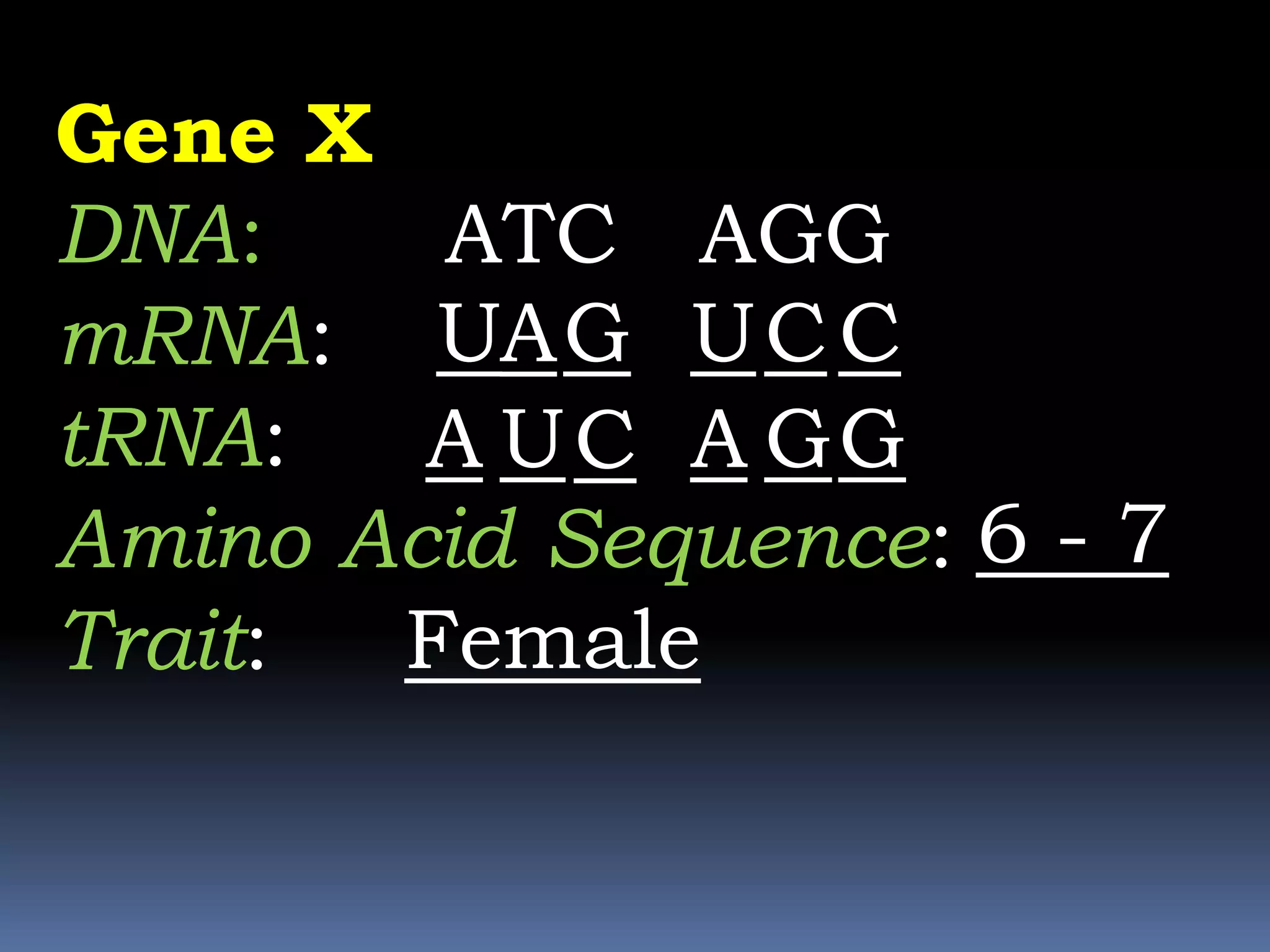Protein Synthesis.pdf