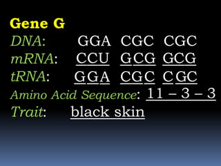 Protein Synthesis.pdf