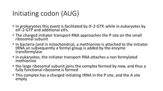 Protein Synthesis.pptx