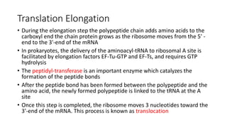Protein Synthesis.pptx