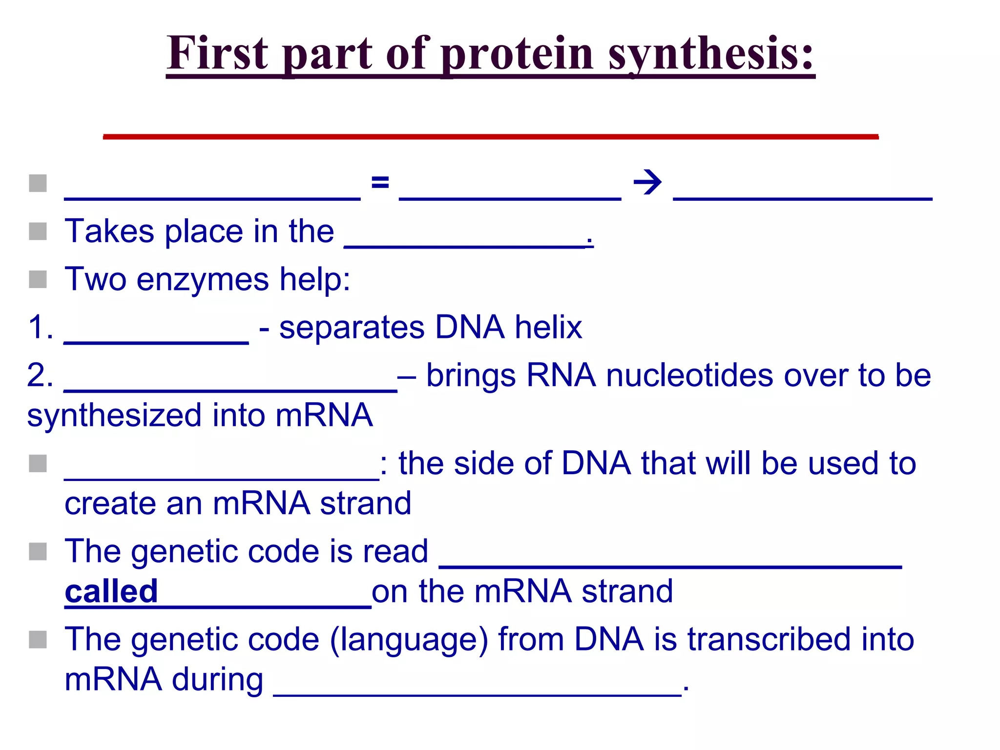 Protein Synthesis.ppt | Programming Languages | Computing