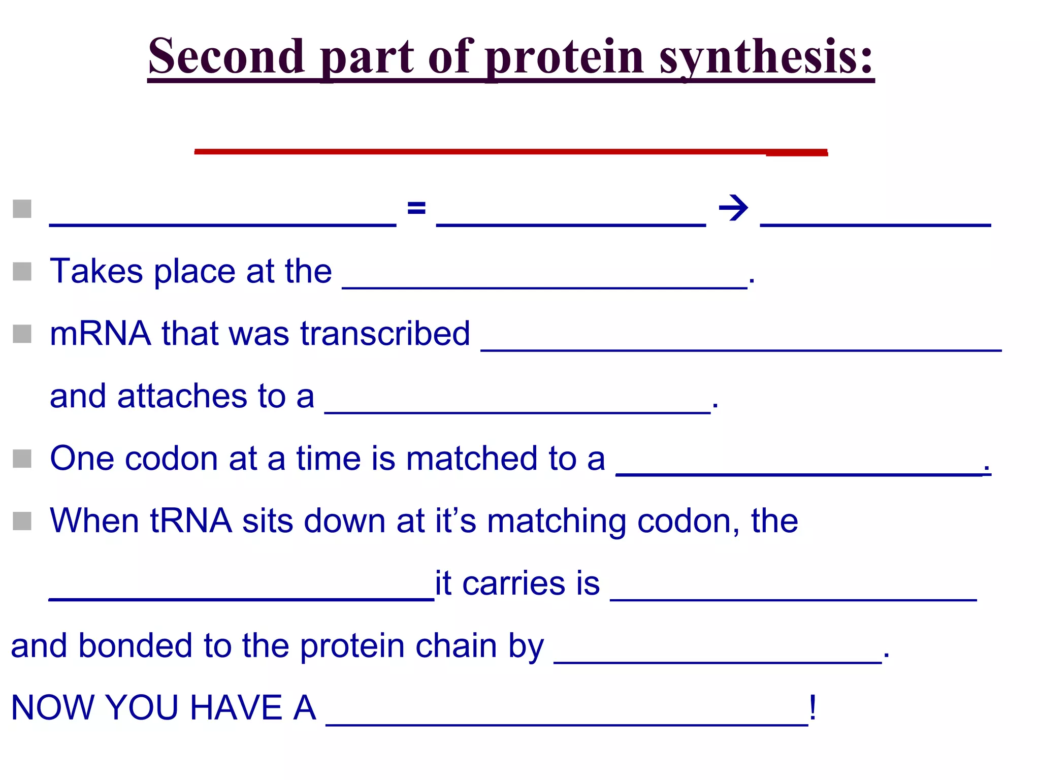 Protein Synthesis.ppt | Programming Languages | Computing