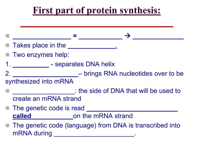 Protein Synthesis.ppt