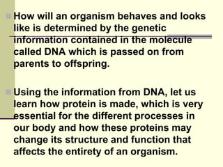 Protein Synthesis.ppt | Programming Languages | Computing