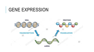 Protein synthesis.pptx