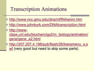 Protein Synthesis.ppt | Biological Sciences | Science