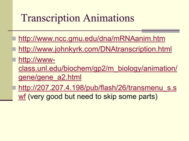 Protein Synthesis.ppt