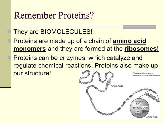 Protein Synthesis.ppt