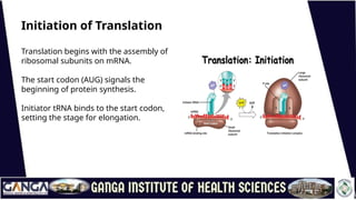 PROTEIN SYNTHESIS / protein synthesis.pptx